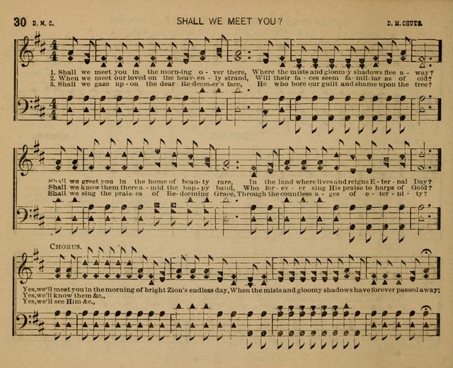Shall We Meet You? | Hymnary.org